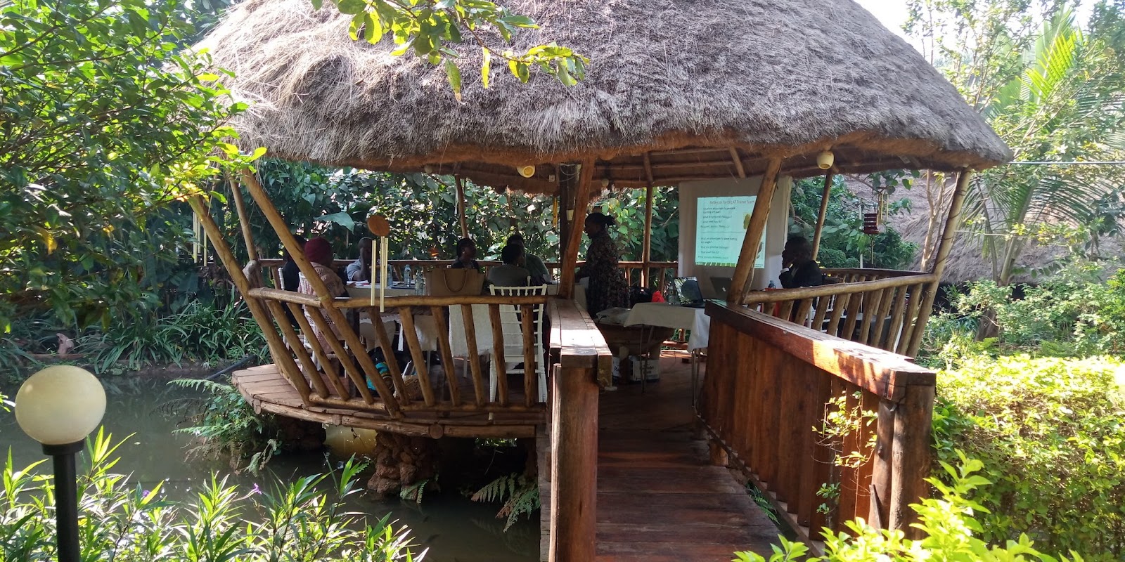 Counting the strides: My GREAT journey, transitions and experiences - GREAT